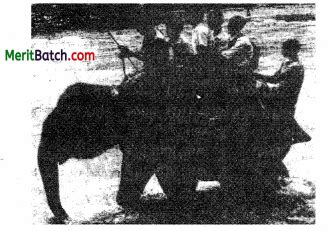 ICSE 2013 English Language Question Paper Solved For Class 10 Merit Batch