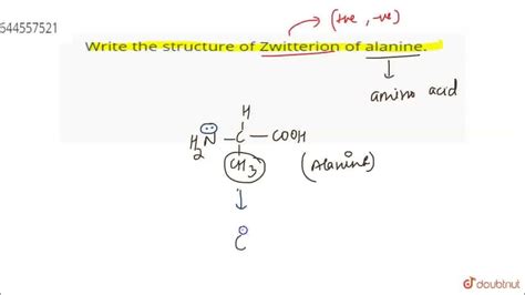 Write The Structure Of Zwitterion Of Alanine Class 12 Question