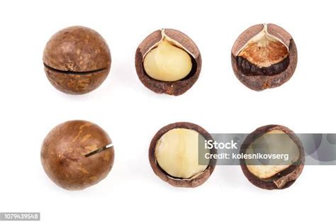 Hạt Macadamia Vỏ Và Không Vỏ Được Cô Lập Trên Nền Trắng Góc Nhìn Hàng Đầu Mô Hình Đặt Phẳng Đặt