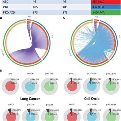 Gene Annotation And Membership Search A Gene List Summary B C
