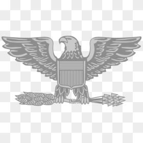 Colonel Insignia Air Force Colonel Rank Hd Png Download Png