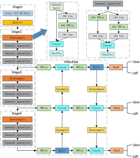 Network Structure Of Improved Nanodet Model Download Scientific Diagram