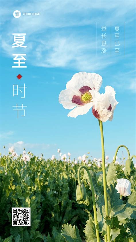 夏至节气祝福排版手机海报素材 花瓣网