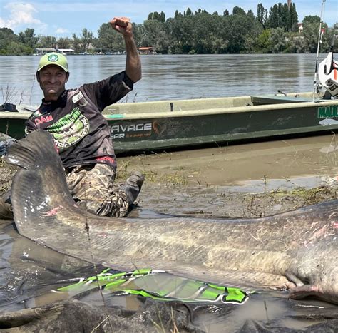 Fisherman Catches 9 Foot Long Catfish In Italy