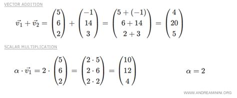 Vector Spaces Andrea Minini