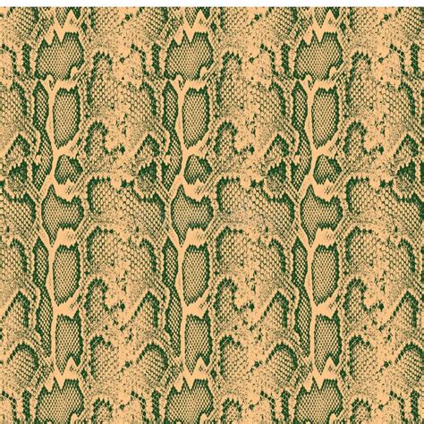 Snake Pattern And Animal Patternsnake Metering Pattern On The Ground Stock Image Image Of