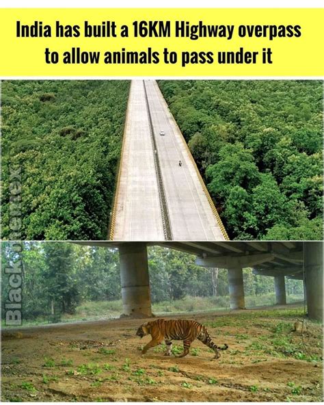 Infrastructure Is Much More Important Than Architecture Sagar Chourasiya