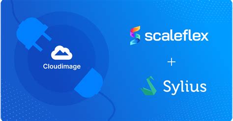 Scaleflexs Partner Sylius