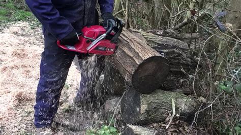XXX TOOLS Chainsaw In Action YouTube