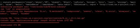 bash starting container process caused ”exec ”r ” executable
