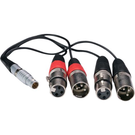 Køb Atomos Xlr Input Output Balanced Xlr Breakout Cable Ledning
