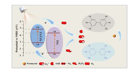 Photoenhanced Peroxidase Like Activity Of Co3v2o8tio2 Heterojunction For Colorimetric