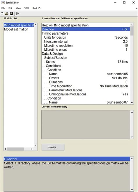 Example View Of The Batch Editor For First Level Analysis Download