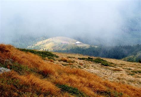 390 Картинки на робочий стіл Весна Скачати Безкоштовно шпалери