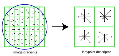4 Illustration Of The 2d Sift Gradient Orientation Histogram Bins Download Scientific Diagram