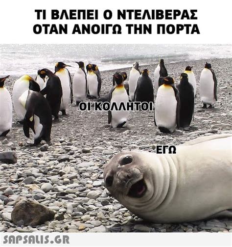 ΤΙ ΒΛΕΠΕΙ Ο ΝΤΕΛΙΒΕΡΑΣ ΟΤΑΝ ΑΝΟΙΓΩ ΤΗΝ 5092859254407168