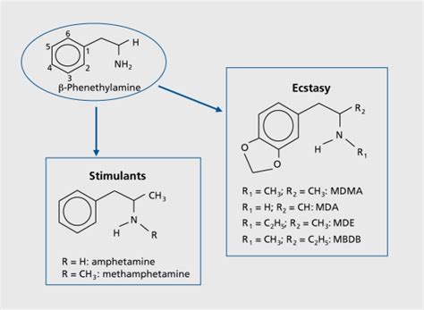 Neurotoxicity Of Drugs Of Abuse The Case Of Methylenedioxy