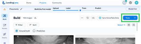 Visual AI Models With LandingLens On Snowflake
