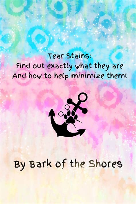 What Are Tear Stains And How To Help Reduce Them On Your Pets Tear