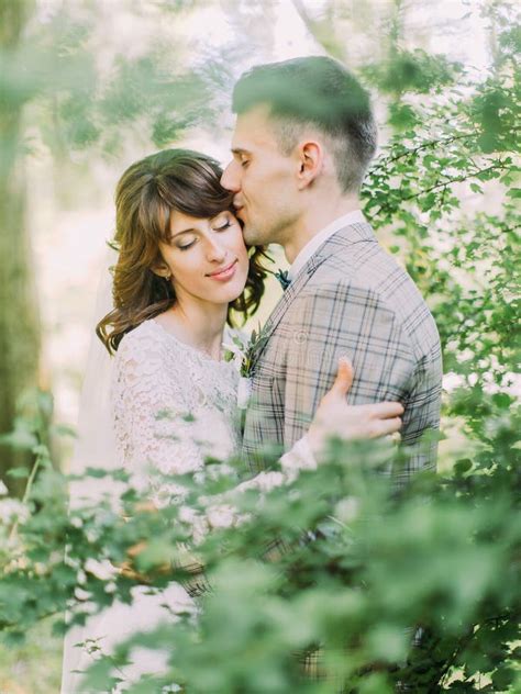 The Groom Is Kissing The Smiling Bride In The Cheek Among Green Leaves Stock Photo Image Of