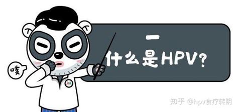 Hpv是什么？ 感染hpv的途径有哪些？如何预防感染hpv？ 知乎