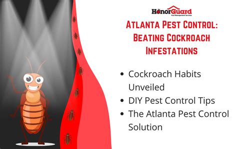 Atlanta Pest Control Beating Cockroach Infestations Honorguard