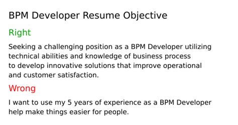 Top 16 Bpm Developer Resume Objective Examples Resumecat