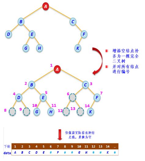 头歌 数据结构 实验七 二叉树的建立及应用 数据结构 树和二叉树及其应用头歌 csdn博客
