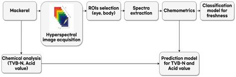 Workflow Of Chemometrics For The Development Of A Classification And Download Scientific
