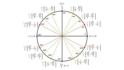 Trig Circle Explained