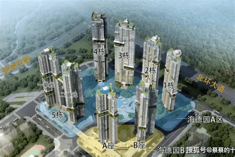 回来了！深圳2022年首个日光盘，686人抢239套房，6小时售罄！海德安托山户型