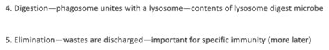 Microbiology Exam 4 Flashcards Quizlet