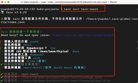 Taro React 项目 V 程序