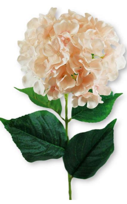 33 Silk Single Stem Hydrangea Int8003 Blush International Silk