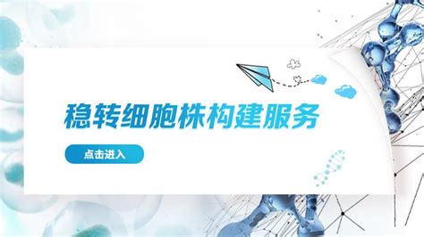 稳转细胞株构建服务详解 知乎