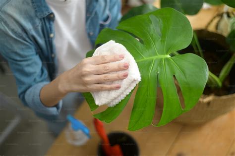 집에서 정원에서 여가 활동을 즐기고 휴식을 취하는 행복한 젊은 아름다운 여성의 평면도 사진 Unsplash의 성인 이미지