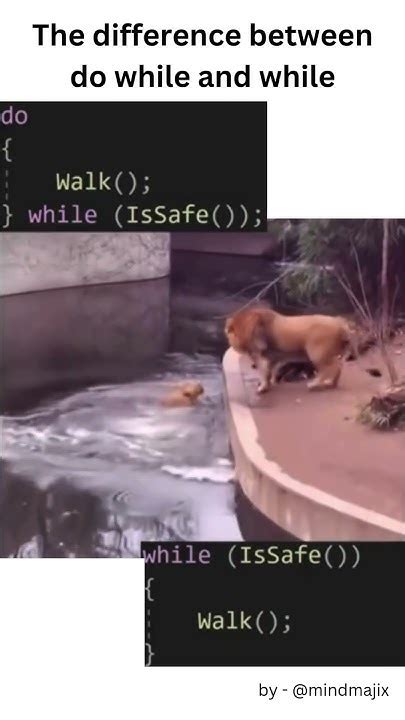 😅 Do While And While Developermemes Codingmemes Funny Comedy Programmingmemes Youtube