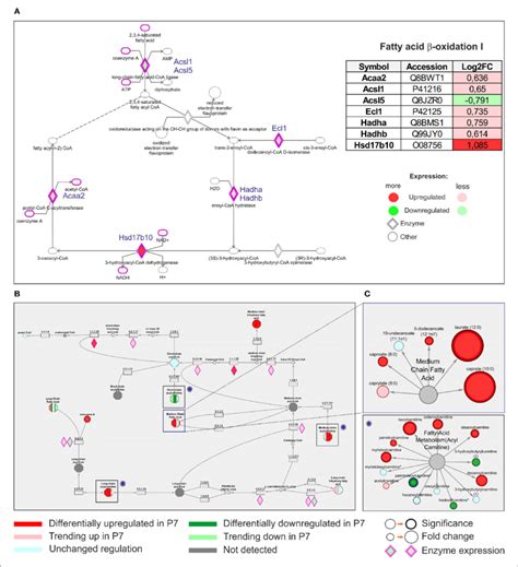 Comparative Analysis Of Differentially Expressed Proteomic And Download Scientific Diagram