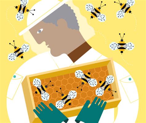 Rory Van Loo School Of Law