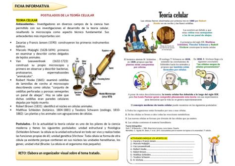Postulados De La TeorÍa Celular Pdf