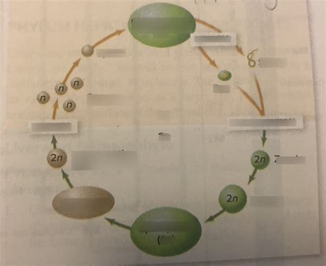Quiz 2 Pt 2 Diagram Quizlet