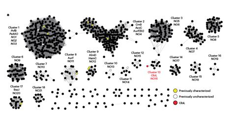 New Building Blocks Udaily