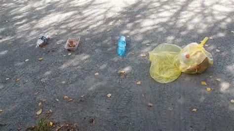 Crushing Garbage With My Car Missurbex Clips4sale