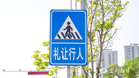 礼让行人标志图片 行人先行标志图片 大山谷图库