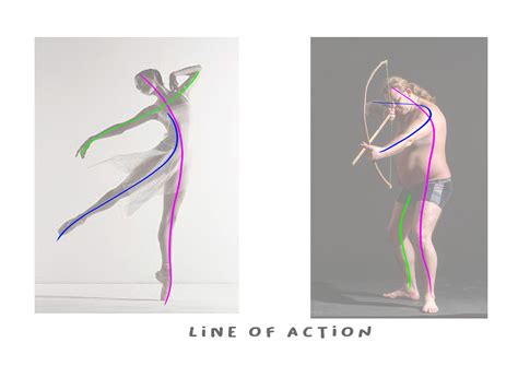 Line Of Action Sketch Liner Blogs