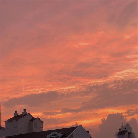 하태완 나는 여름이 채 다 지나기도 전에 죽었다 내 언젠가는 스스로 목숨을 끊을 줄 알았다만 그게 하필 불볕더위가 최후의 발악을 하는 8월의 끝자락일 줄은 생각지도