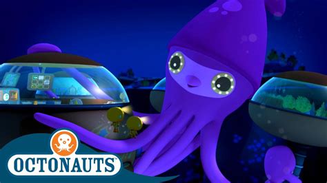 Firefly Squid Octonauts