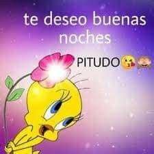 Frases De Piolin Buenas Noches