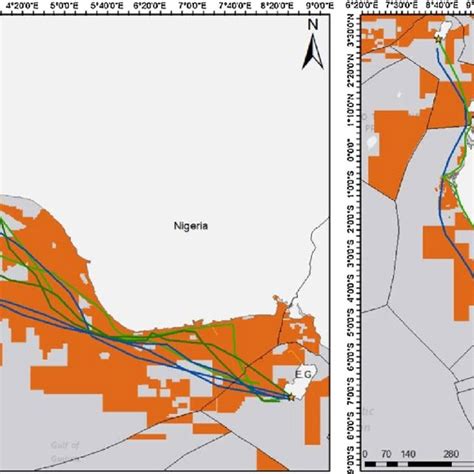 Post Nesting Movements Of Western Migrations Left Panel And Southern