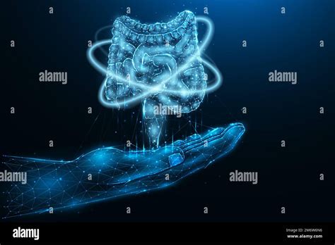 Intestinal Recovery Polygonal Vector Illustration Of A Hand With A